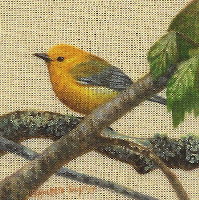 Miniature Paintings of Birds by Wes & Rachelle Siegrist
